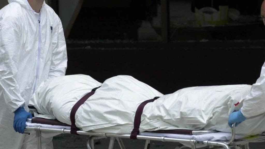 What is a body bag? What is it used for? - ROOEMED